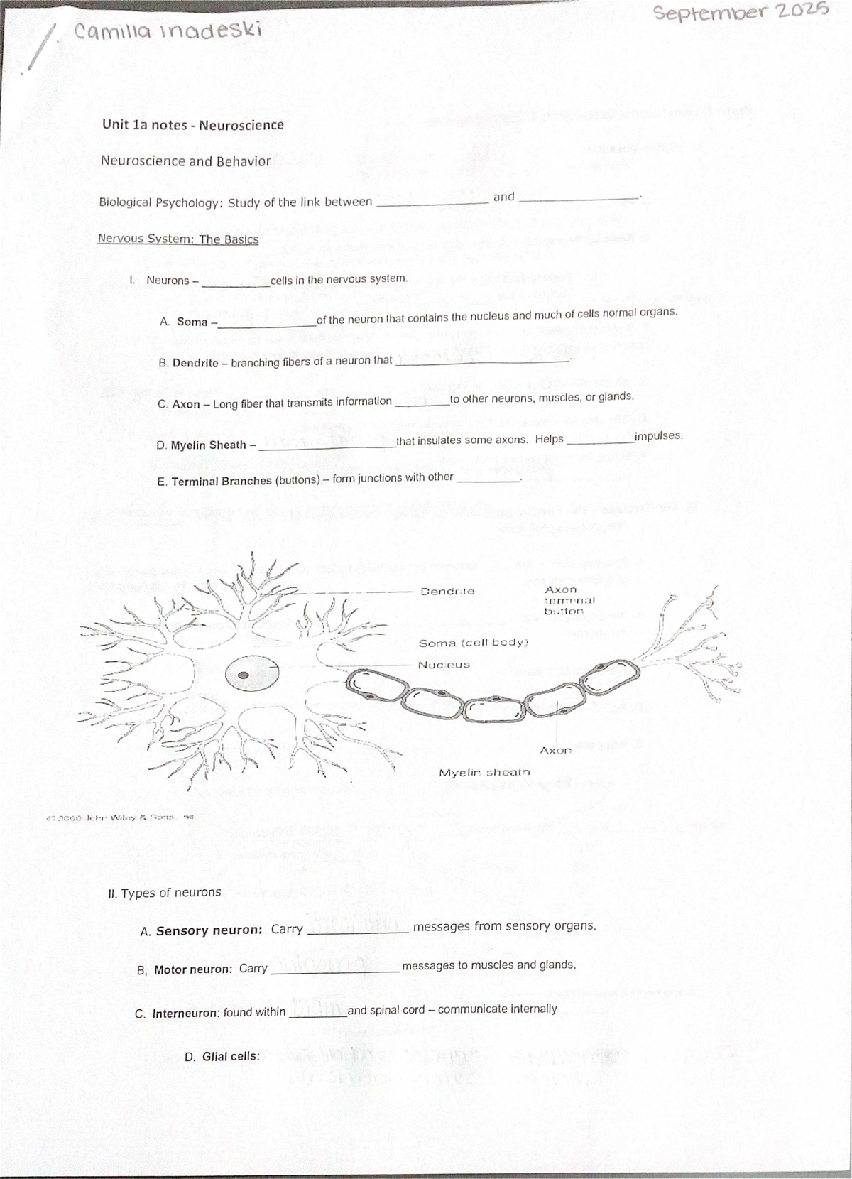 Neuroscience and Behavior: Unit 1a Study Notes (Sept 2025) - Studocu
