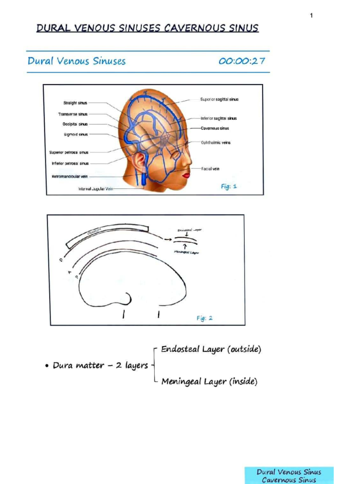 Dural Venous Sinuses & Cranial Nerves Overview (ANAT 101) - Studocu