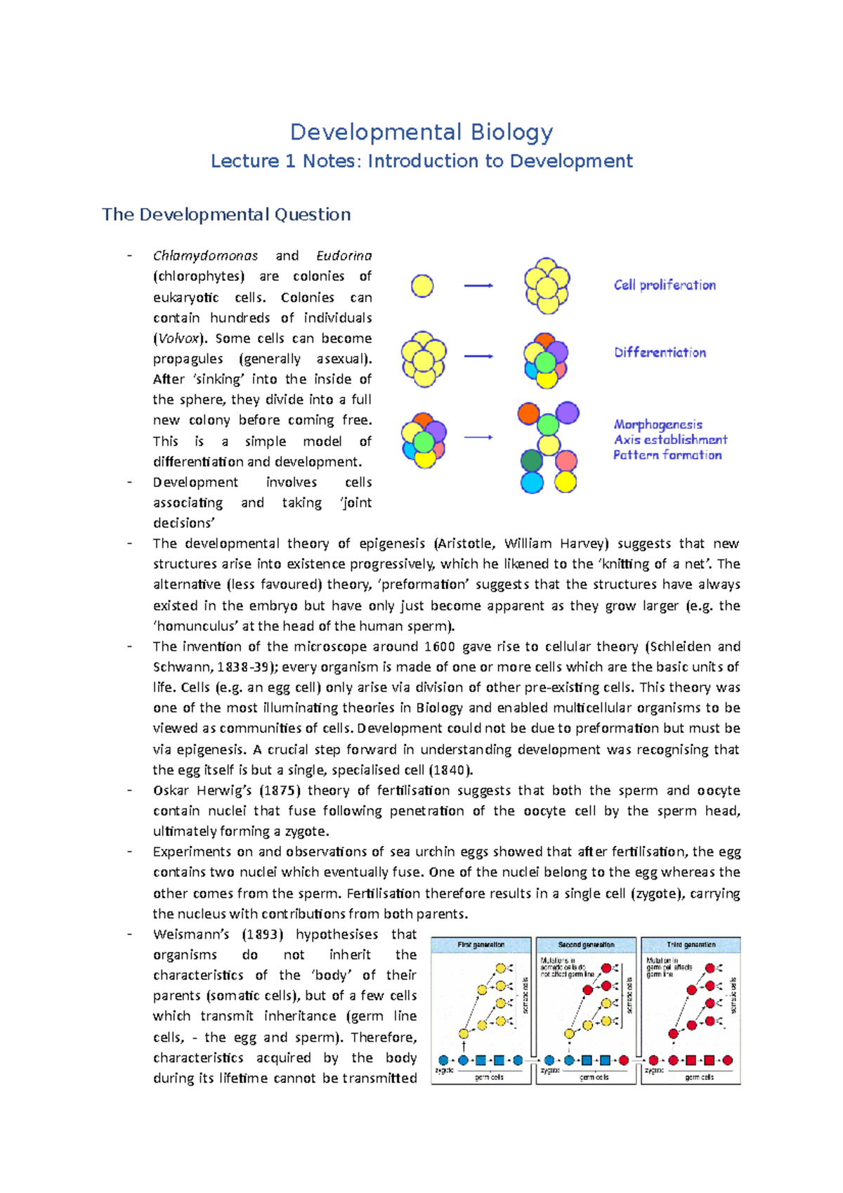 Lecture 1 Notes (Introduction to Development) - Developmental Biology ...