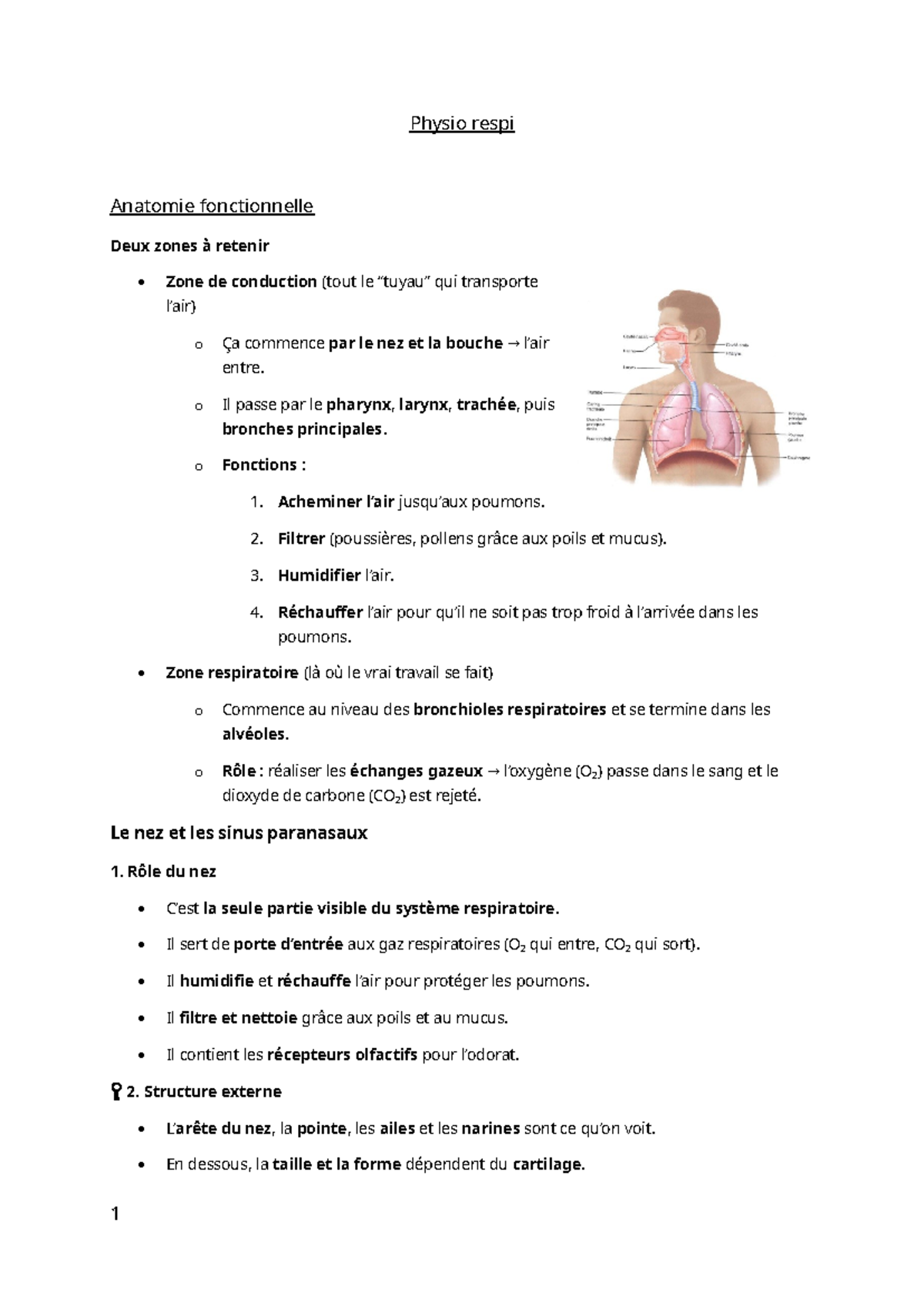 Physio Respi: Anatomie Fonctionnelle des Zones Respiratoires - Studocu