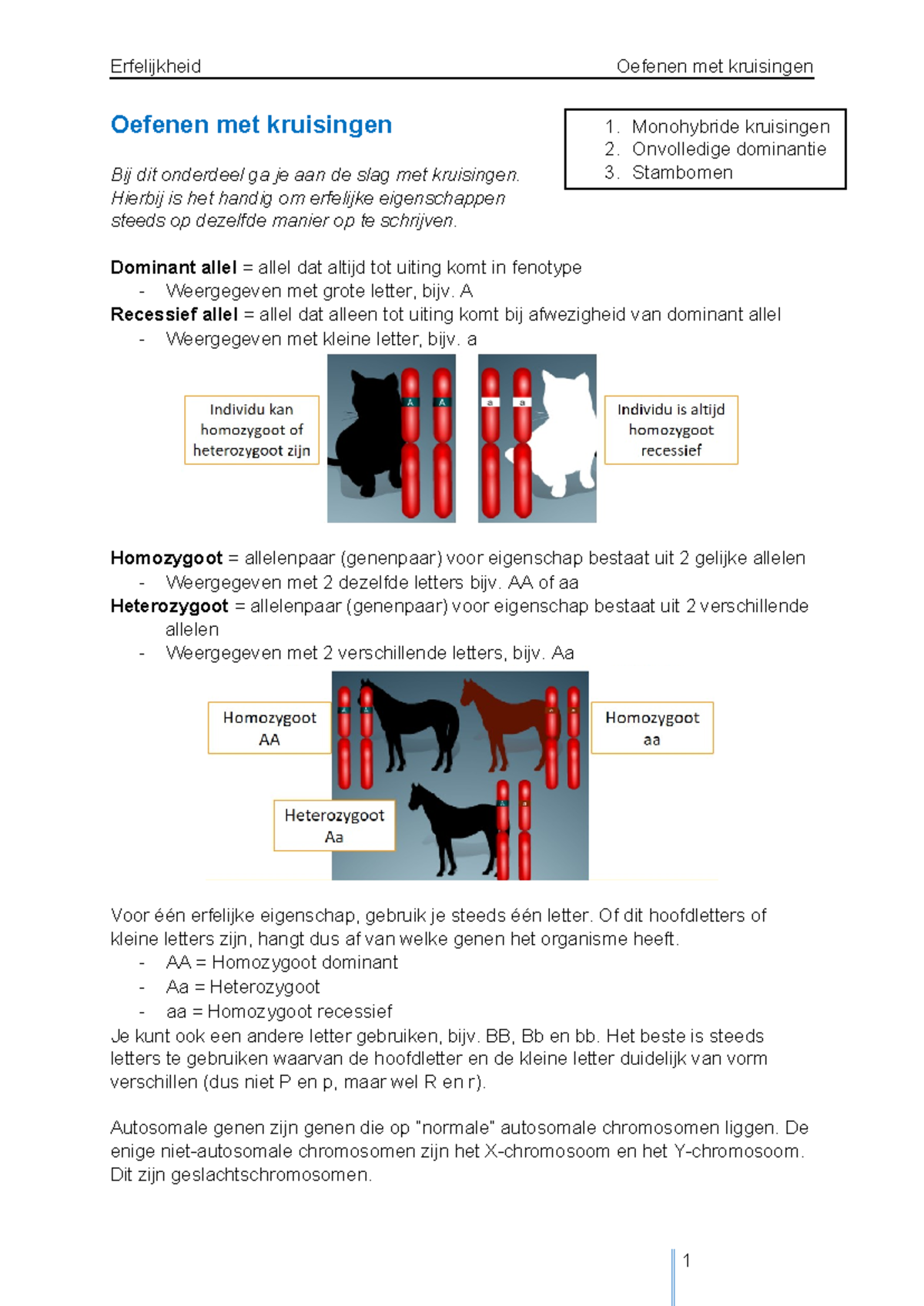 Erfelijkheid en Kruisingen: Oefeningen en Uitleg voor Biologie 101 ...