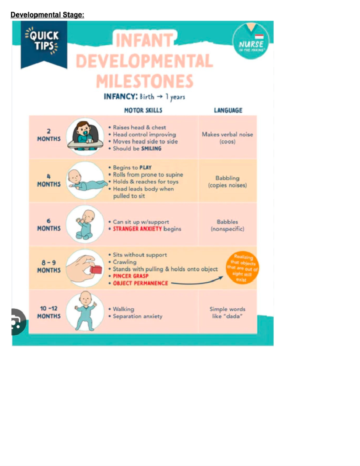 PEDS Final Study Guide - peds overview - NUR2310 - Studocu