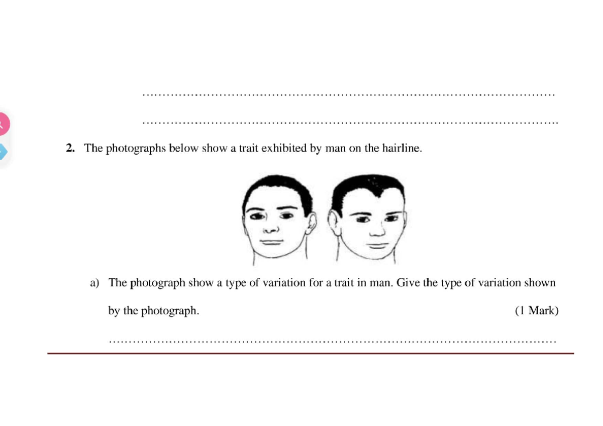 Genetics Sample Quizzes: Variation, Heredity, and Plant Traits Analysis ...