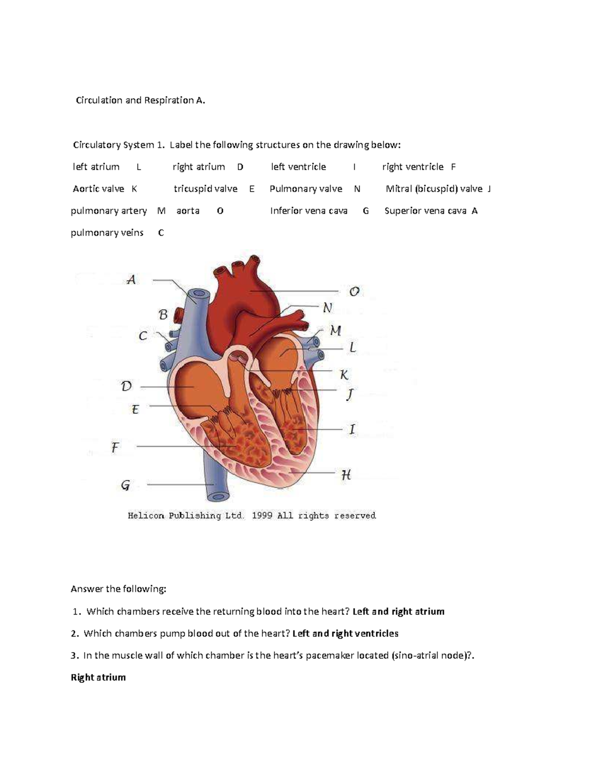 Lab 12: Circulation & Blood Pressure Measurements (BIO 101) - Studocu