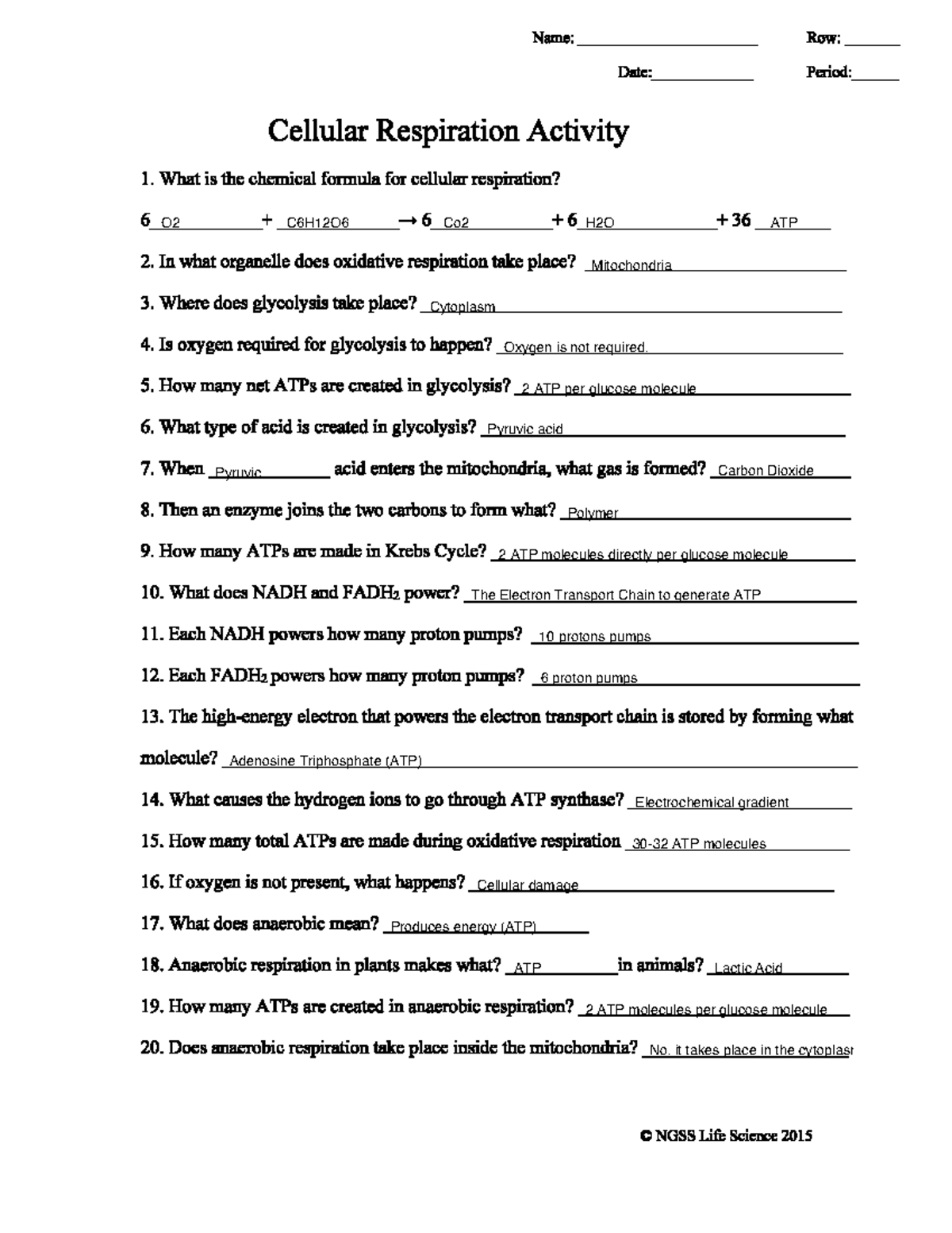 Cellular+Respiration+Activity-worksheet - BIOL 4 - Studocu