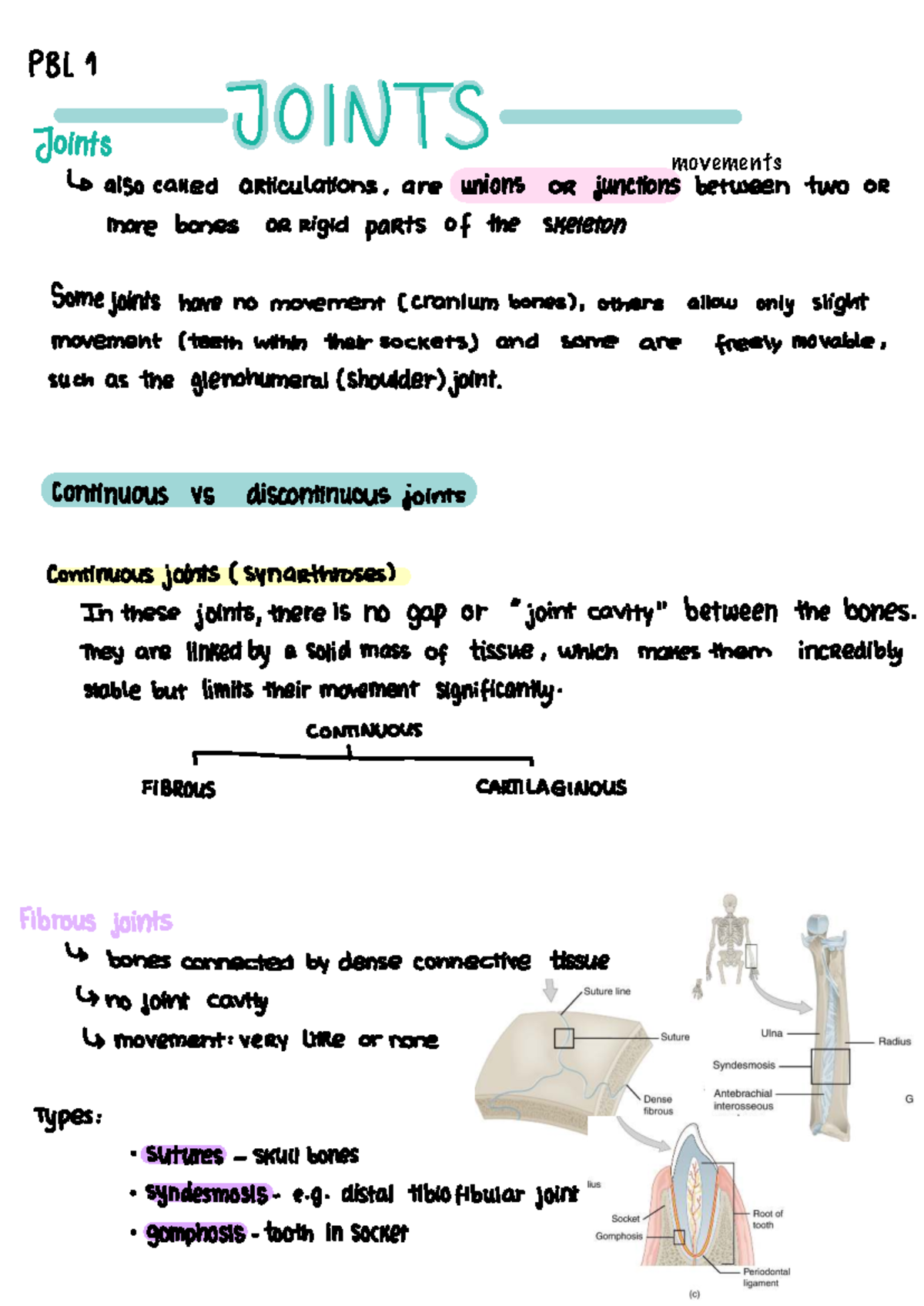 PBL 4 Joints: Types, Movements, and Examples Explained - Studocu
