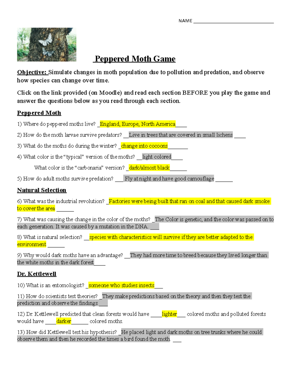 A Peppered Moth Game Worksheet - NAME ...