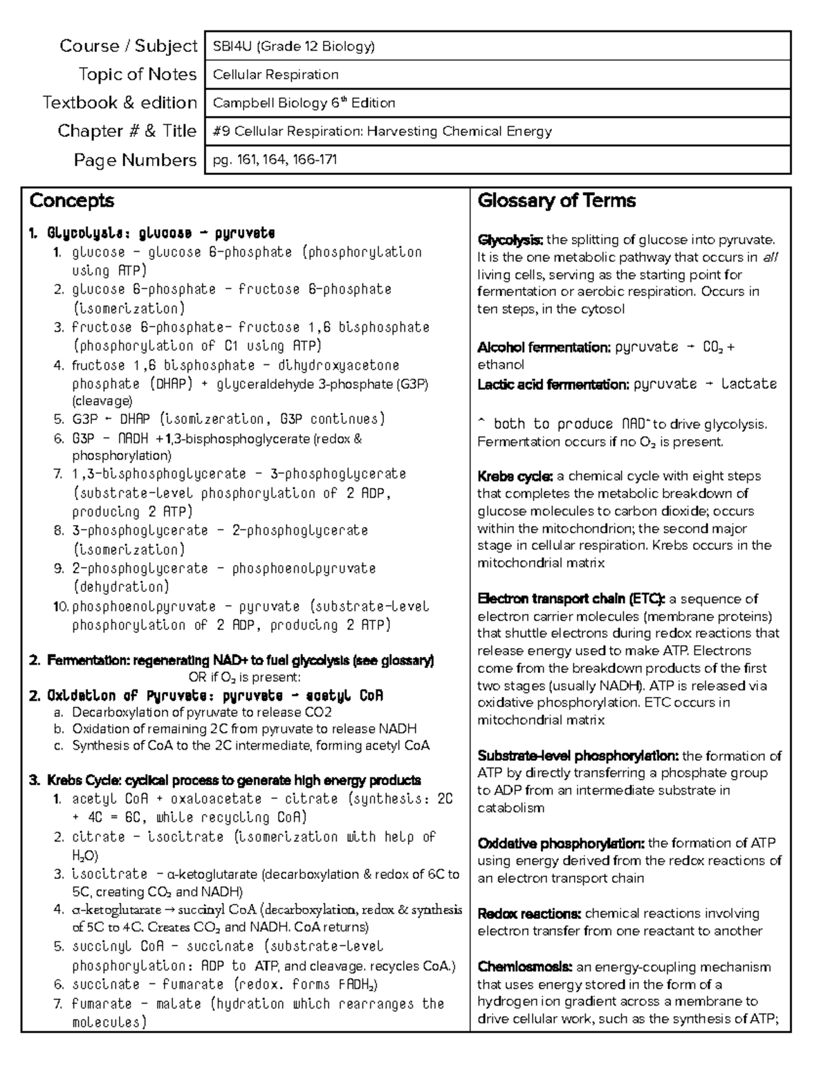 SBI4U Lesson Notes: Cellular Respiration & Photosynthesis Concepts ...