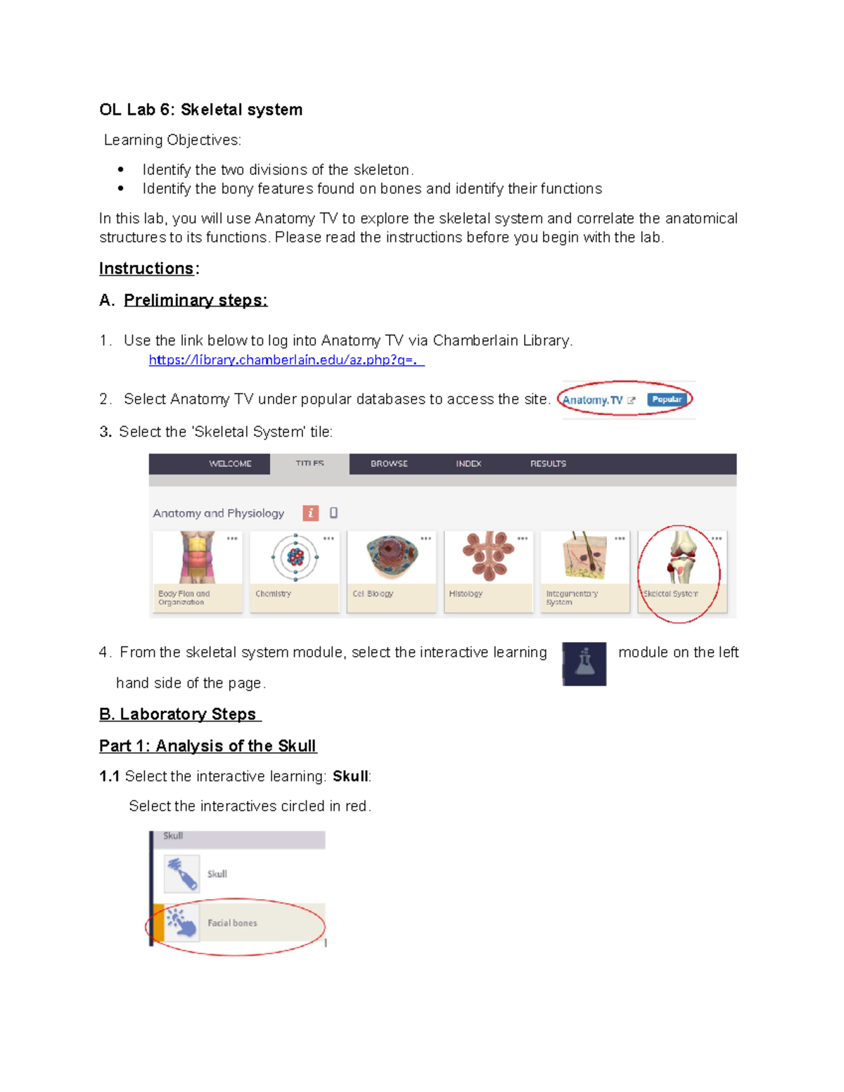 BIOS251 Online Lab 6: Exploring the Skeletal System Components - Studocu