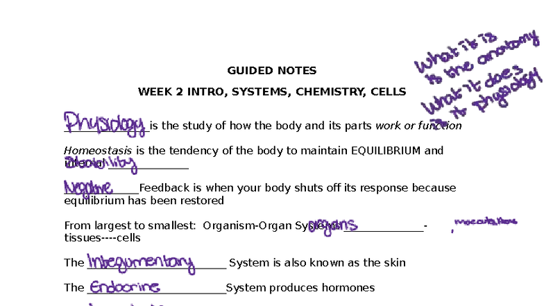 Guided Notes W2: Intro to Chemistry, Systems, & Cells - Studocu