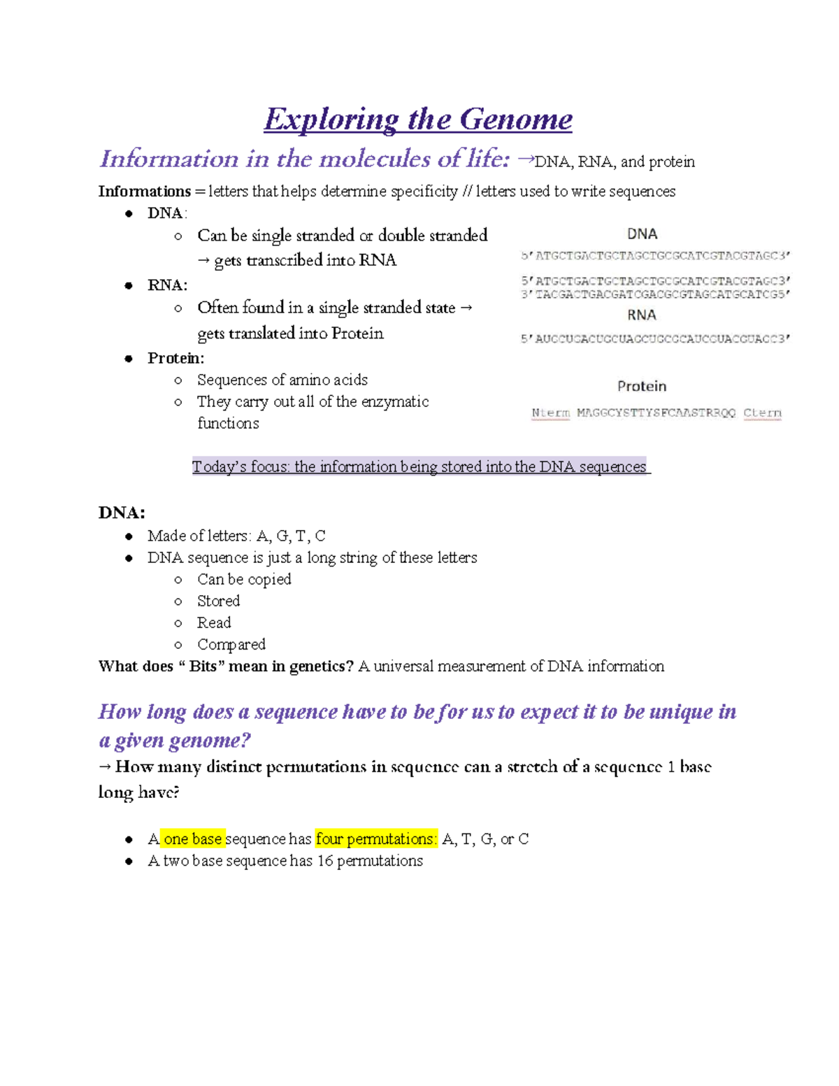 2581-02 - Understanding DNA, RNA, and Protein: A Comprehensive Overview ...