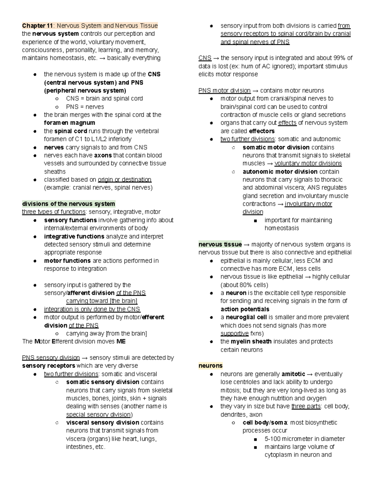 Final Exam Study Guide: Nervous System (BIOL120) Summary - Studocu