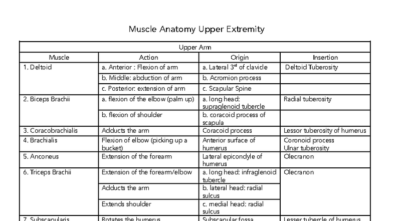 Muscle Anatomy Upper Extremity Table Guide (Anatomy 101) - Studocu