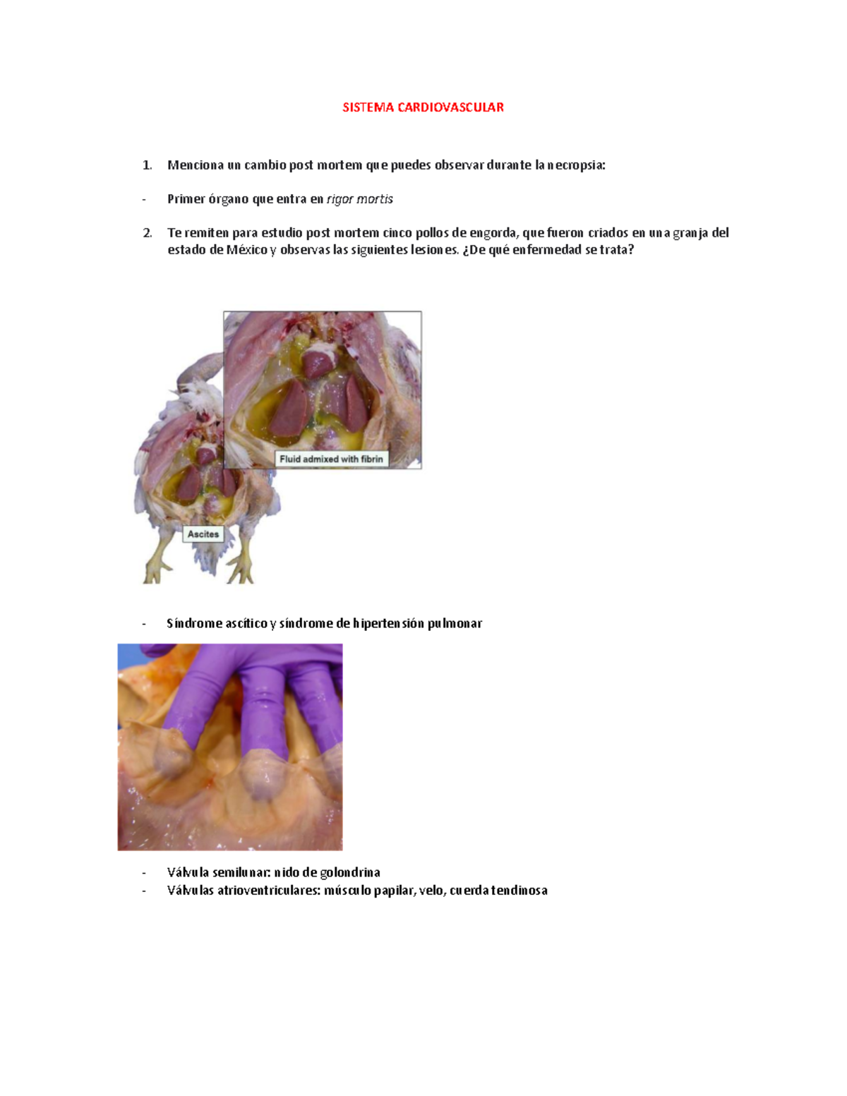 Resumen de Patología del Sistema Cardiovascular y Respiratorio SIS ...