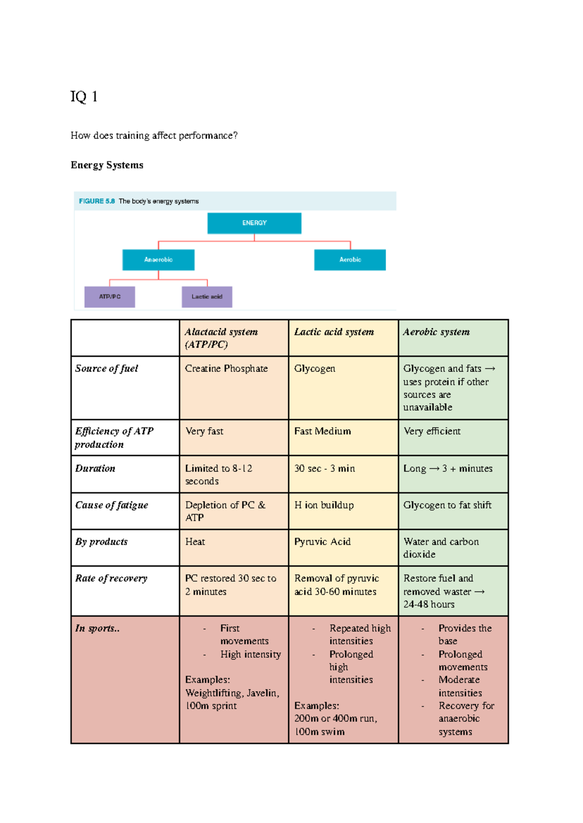 Pdhpe Factors Influencing Athletic Performance and Training Methods ...