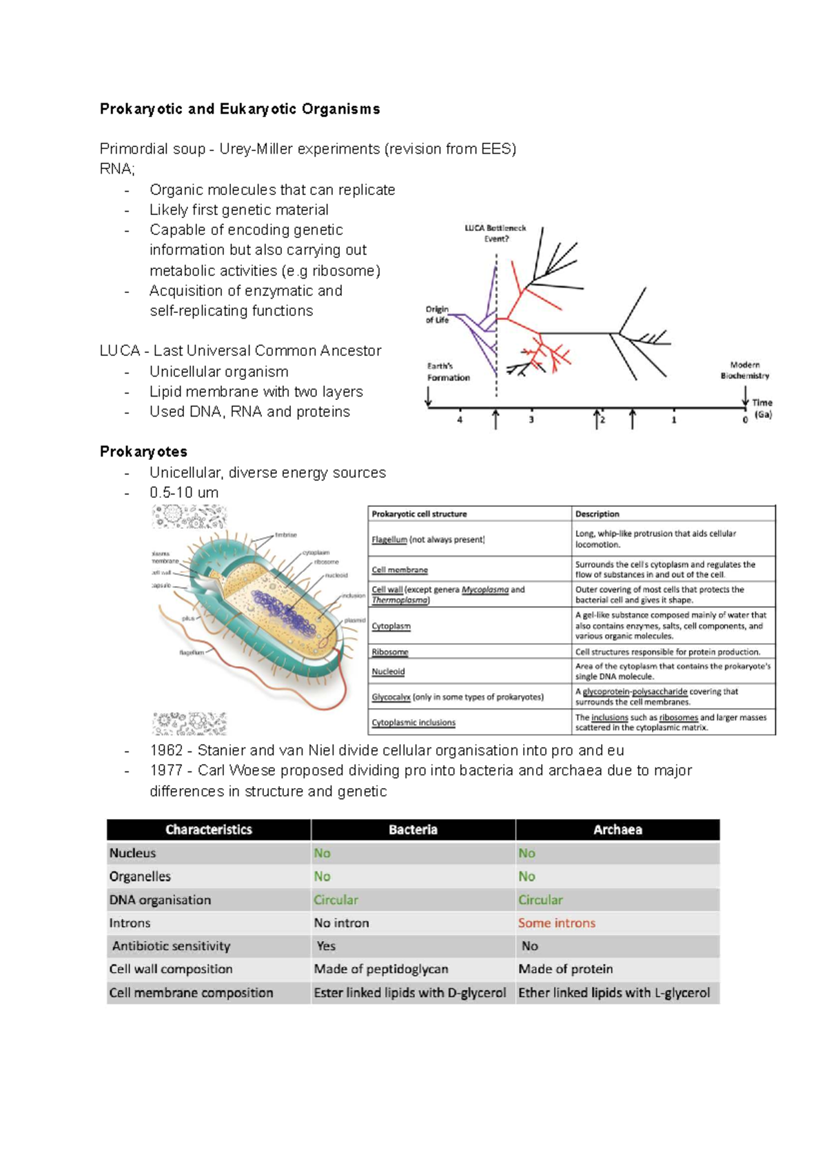EES Final Exam Notes: Prokaryotic & Eukaryotic Cell Types - Studocu