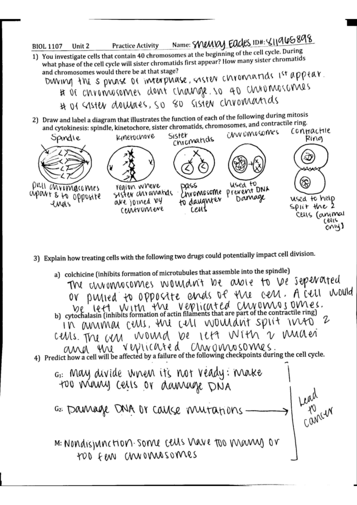 Unit 2 Practice Assignments - BIOL 1107 Unit 2 Practice Activity Name ...