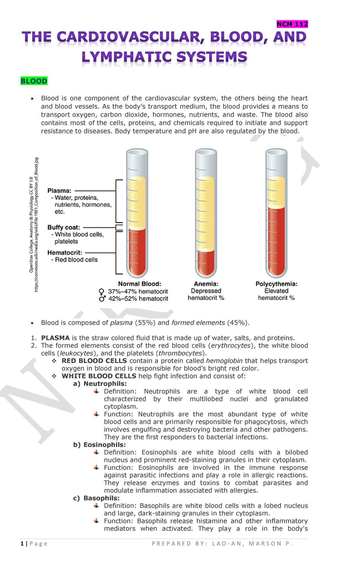 Cardio, Blood & Lymphatic System Final Exam Notes - VBIO123 - Studocu