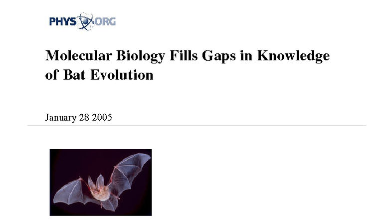 Molecular Biology and Bat Evolution: Insights from 2005 Study - Studocu