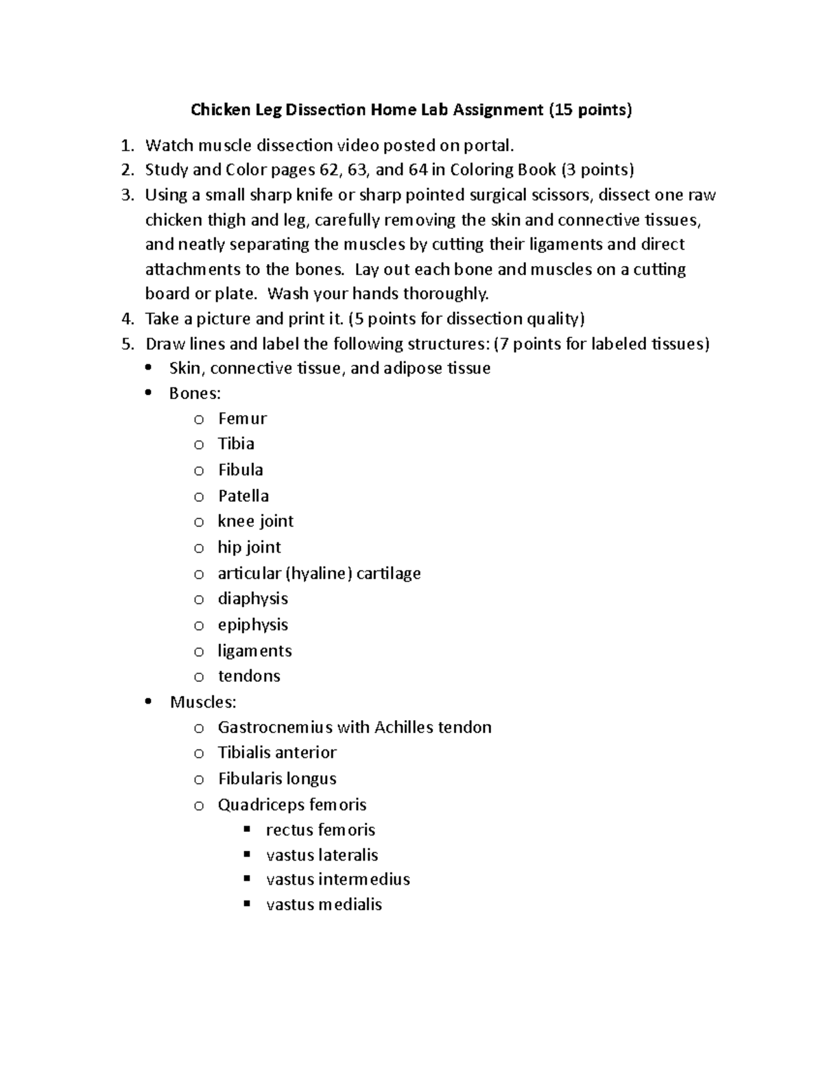 BIO101 Chicken Leg Dissection Home Lab Assignment Guide - Studocu