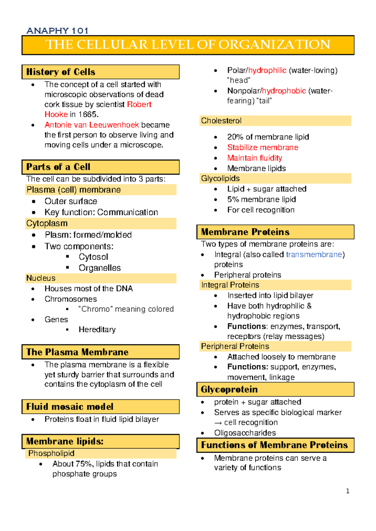 The Cellular Level of Organization: Key Concepts & Structures Study ...