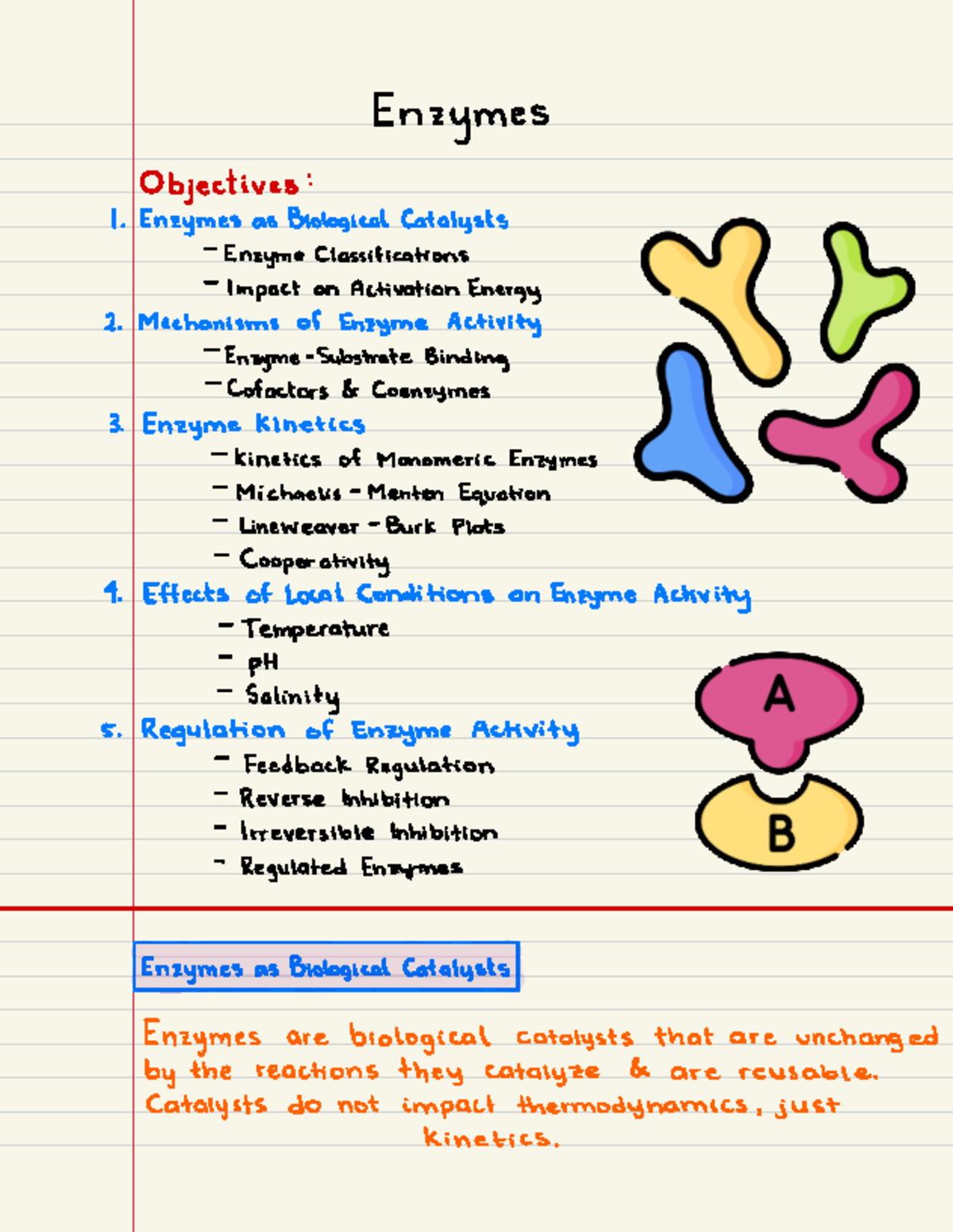 Ch. 2 Enzymes: Biological Catalysts & Kinetics Overview - Chem - Studocu