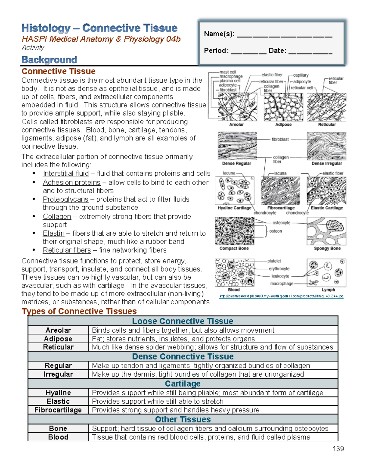 HASPI Medical Anatomy 04b: Connective Tissue Study Notes - Studocu