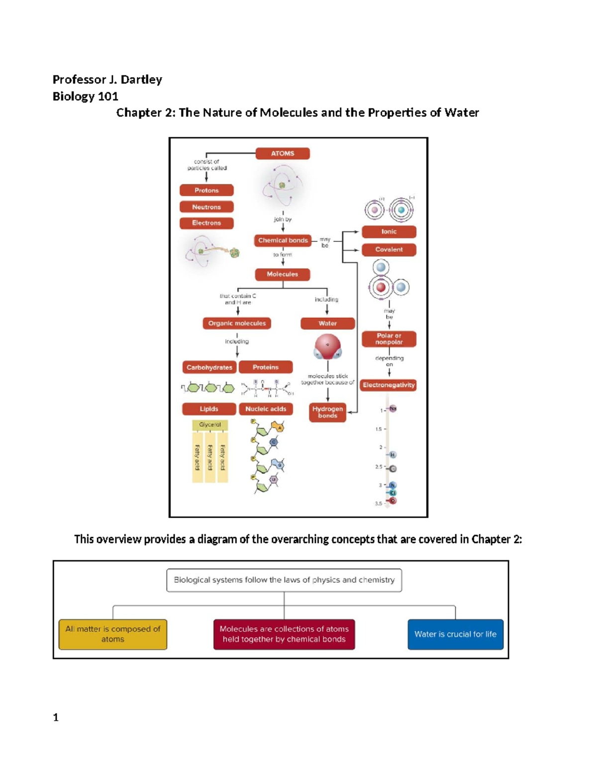 Biology 101: Chapter 2 - The Nature of Molecules & Water Properties ...