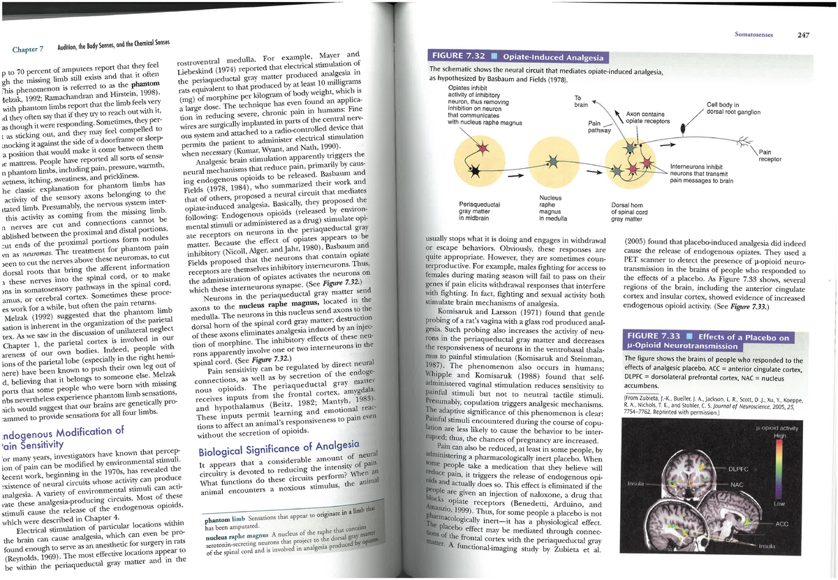 Carlson Physiology of Behaviour 10th Ed - Audition, the Body Senses ...