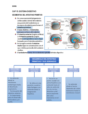 Cabeza Y Cuello - CABEZA Y CUELLO Región de la cabeza: MESODERMO ...
