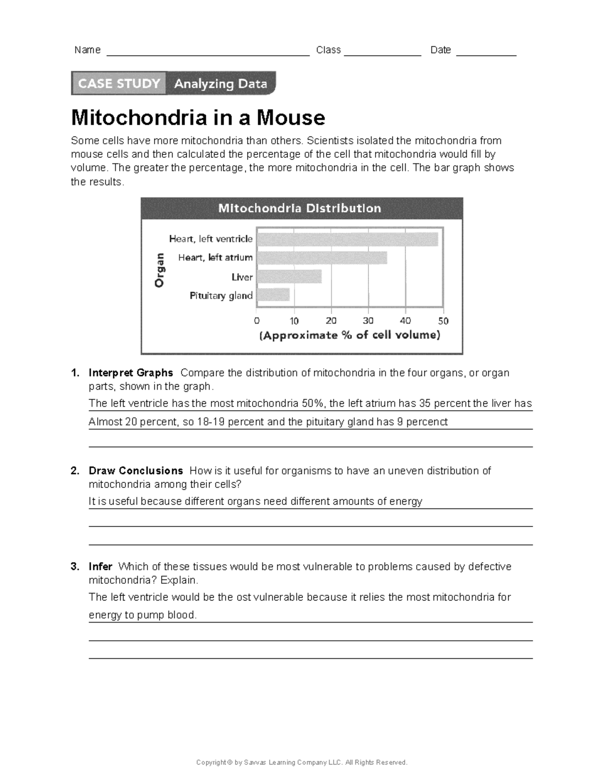 Mitochondria Distribution in Mouse Organs: Analysis & Insights - Studocu