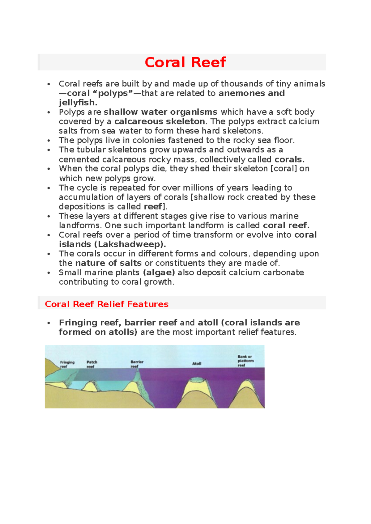 Coral Reef Formation and Types: Insights into Marine Ecosystems - Studocu