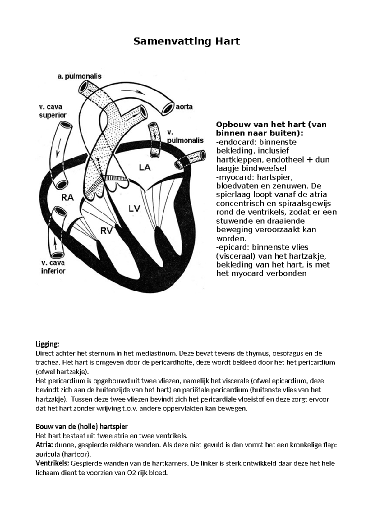 Samenvatting Hart Anatomie en Aandoeningen - Coronair Lijden (Med/NL ...