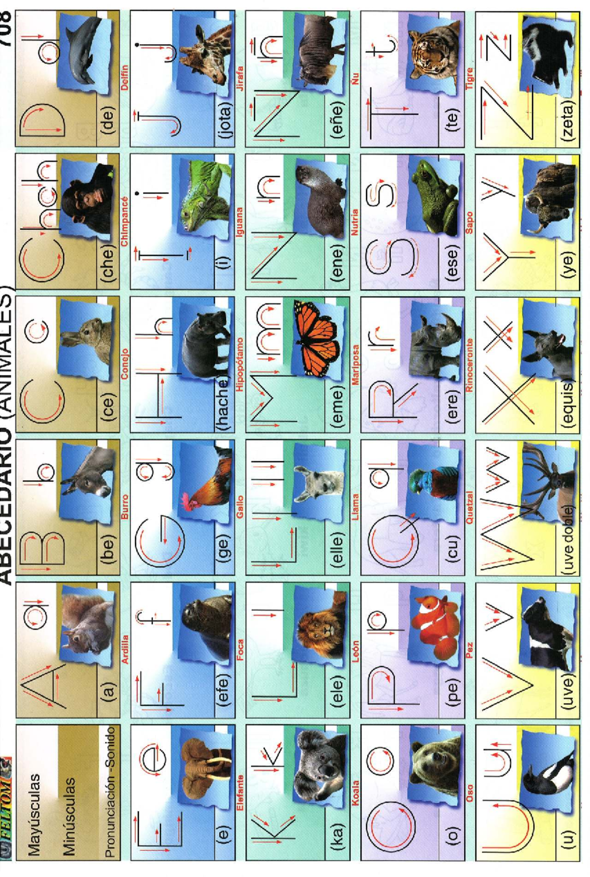 Monografía: Abecedario de Animales y sus Letras - Studocu