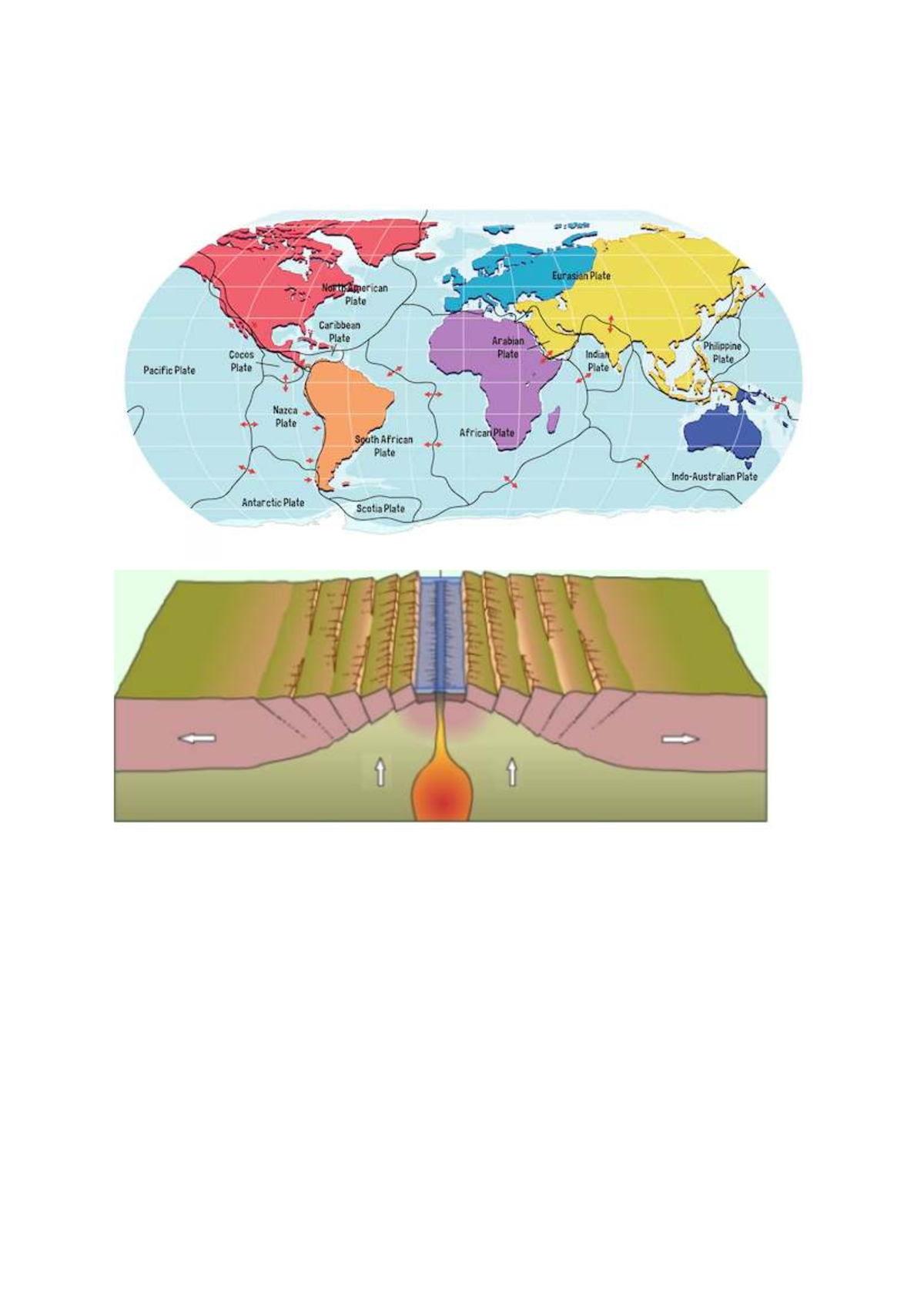Limits entre plaques - Geología y Ciencias Ambientales I - Ciencias y ...
