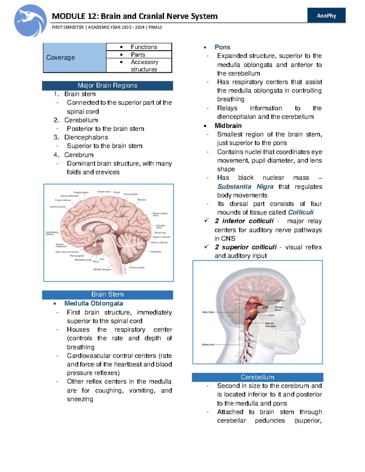 Endocrinology Lecture Notes: Understanding the Endocrine System - Studocu