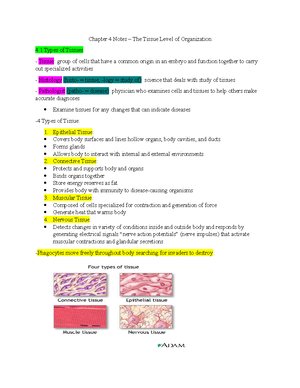 Chapter 3 Worksheet - Anatomy and Physiology I: Chapter 3 Cells I ...
