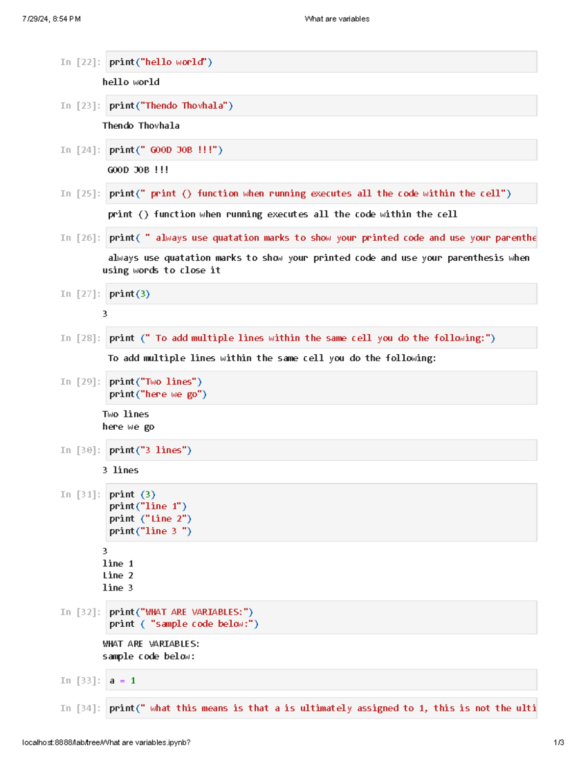 What are var… (2) - Jupyter Lab Lesson 1 - hello worldprint("hello ...