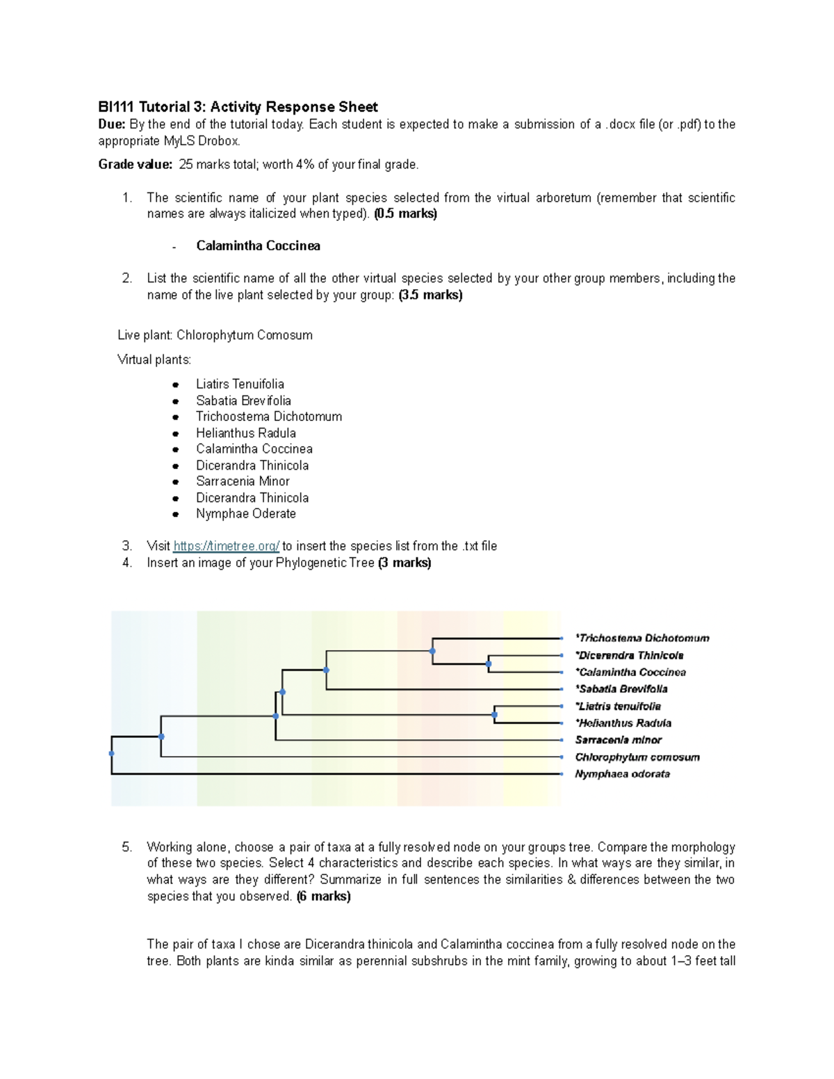 BI111 Tutorial 3: Activity Response Sheet Submission Guide - Studocu