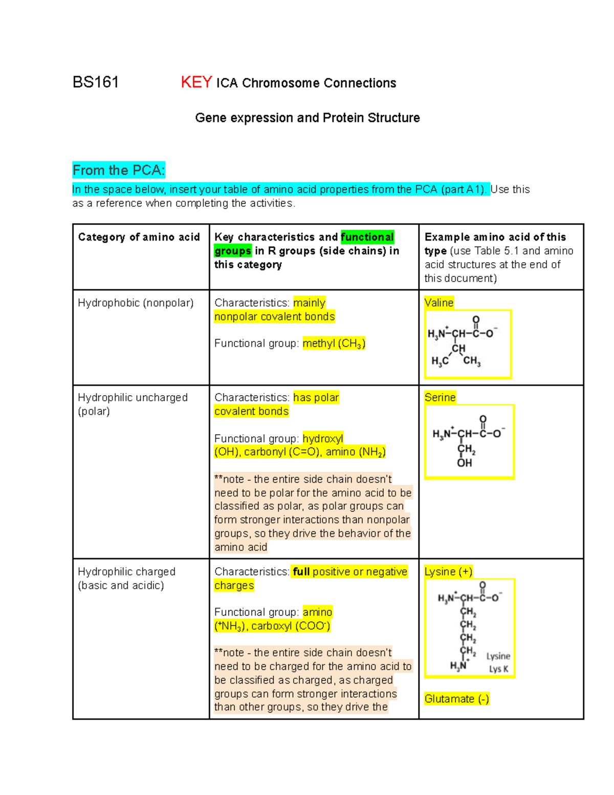 BS161 Gene Expression & Protein Structure: Model Activities Guide - Studocu