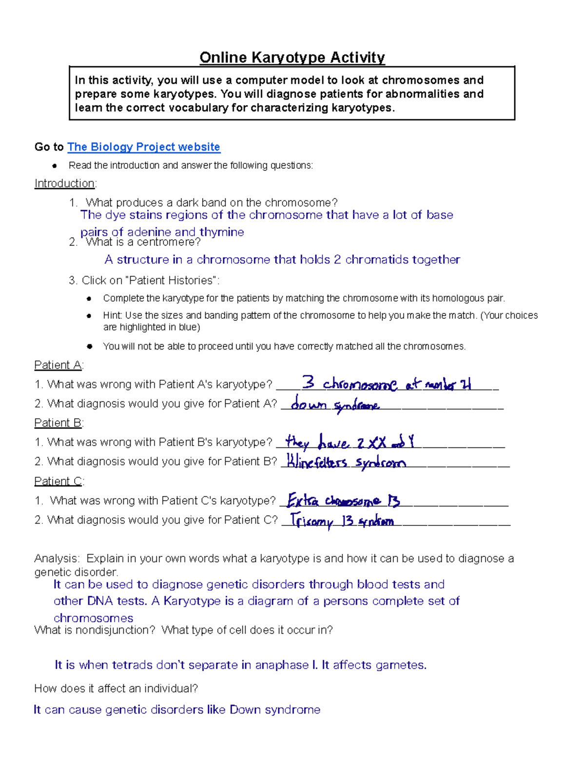 2.2.5 Online Karyotype Lab Activity: Diagnosing Genetic Disorders - Studocu