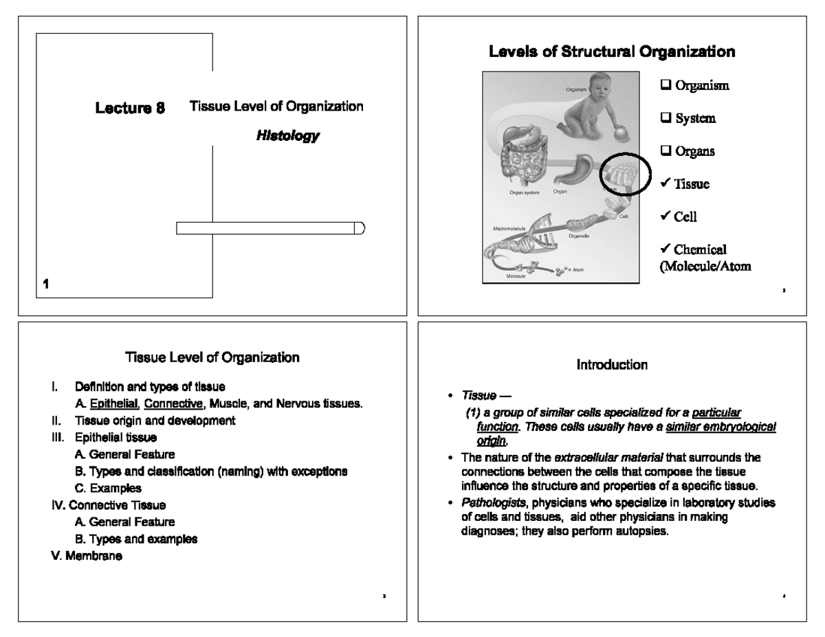 Lecture 8: Key Concepts and Insights on Topic Exploration - Levels of ...