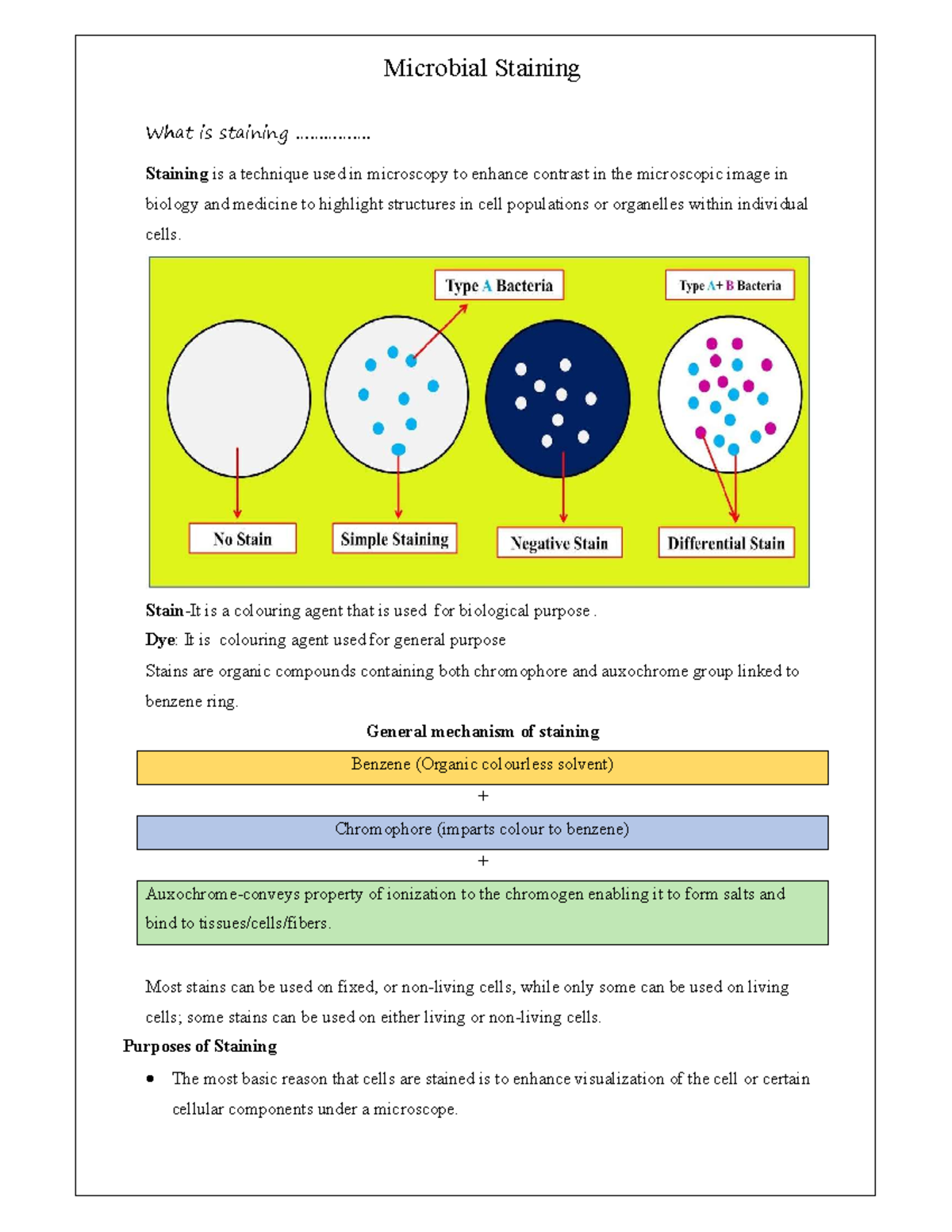 Microbial Staining Techniques: Methods and Applications in Biology ...