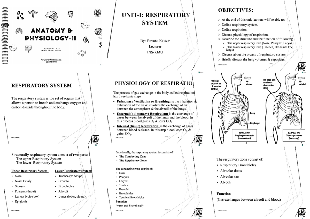 BN ANATOMY 6202: Respiratory System Overview and Physiology - Studocu