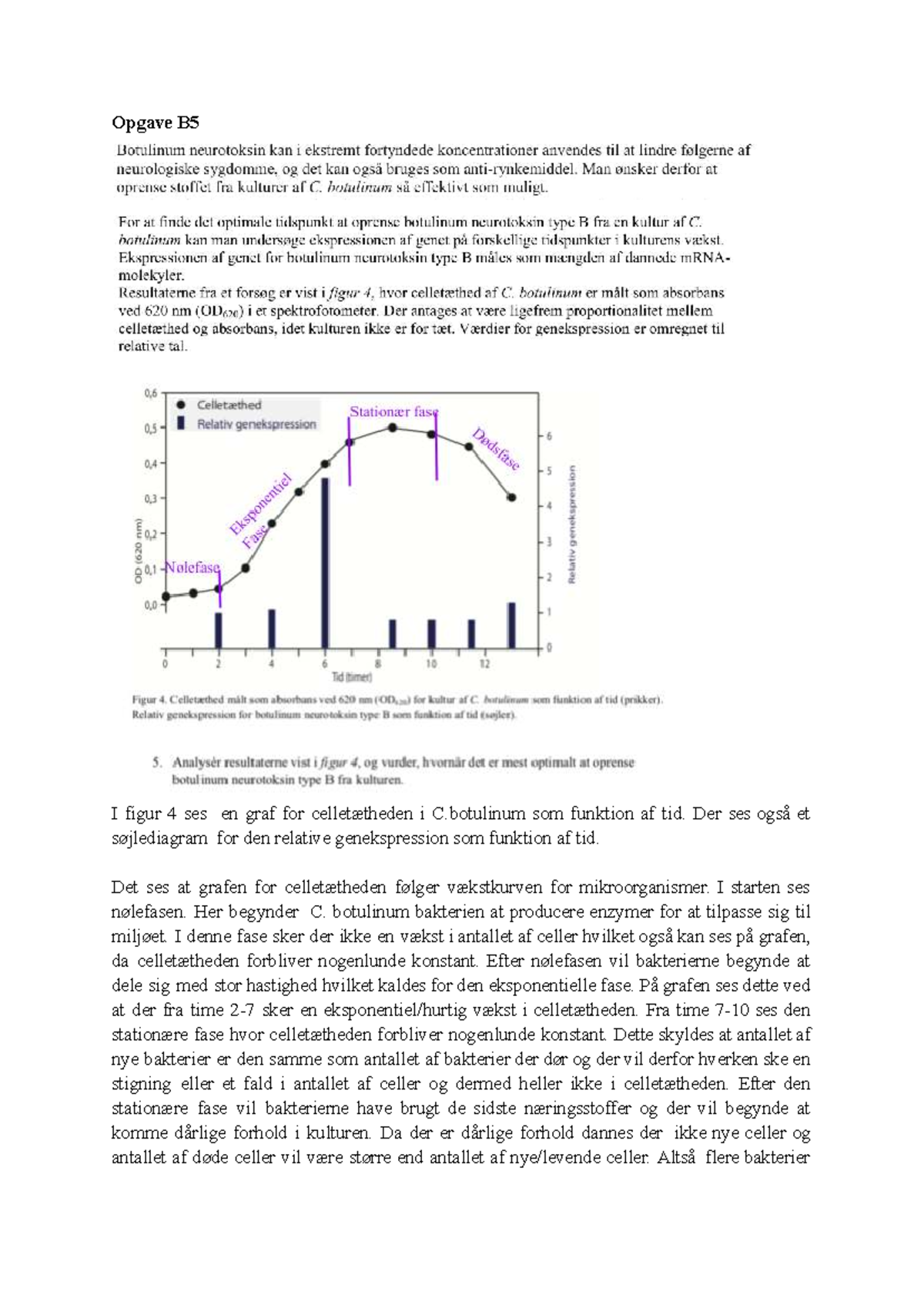 Biotek Afg. 8: Celletæthed og Genekspression i C. botulinum - Studocu