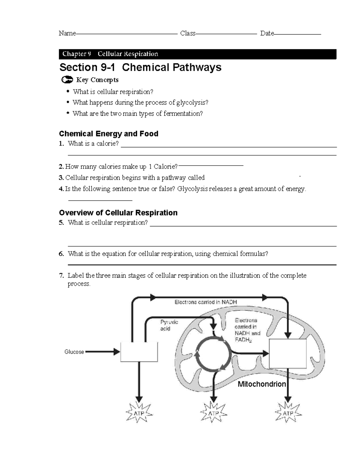 Cell respiration worksheet - Name Class Date Section 9-1 Chemical ...