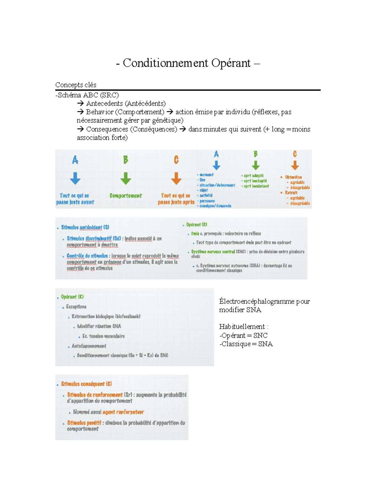 Conditionnement Opérant : Concepts Clés et Procédures (SRC) - Studocu