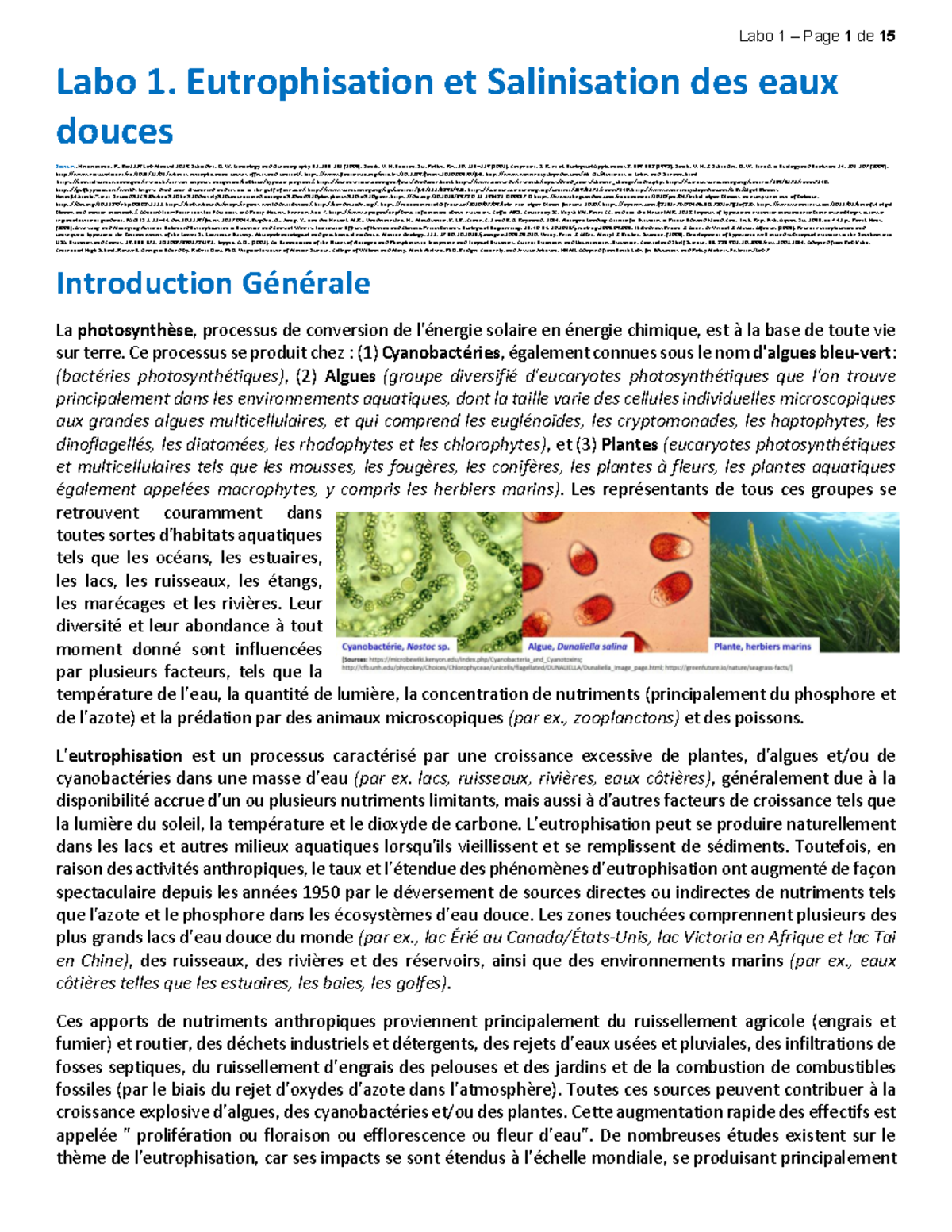 Labo 1: Eutrophisation et Salinisation des Eaux Douces - Étude et ...
