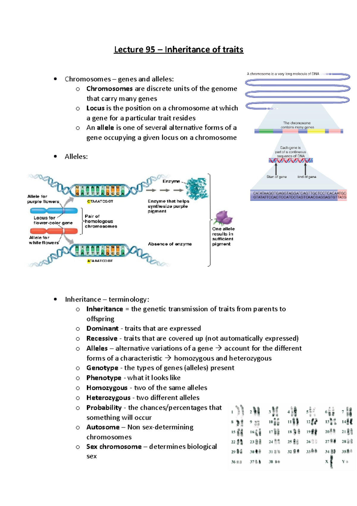 Lecture 95 – Inheritance of traits - Lecture 95 – Inheritance of traits ...