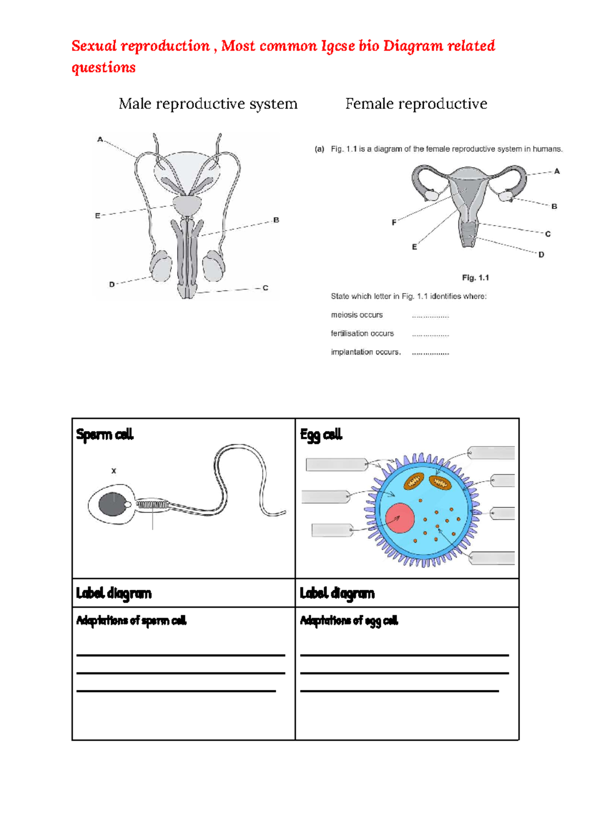 Sexual reproduction most common diagram related questions - Sexual ...
